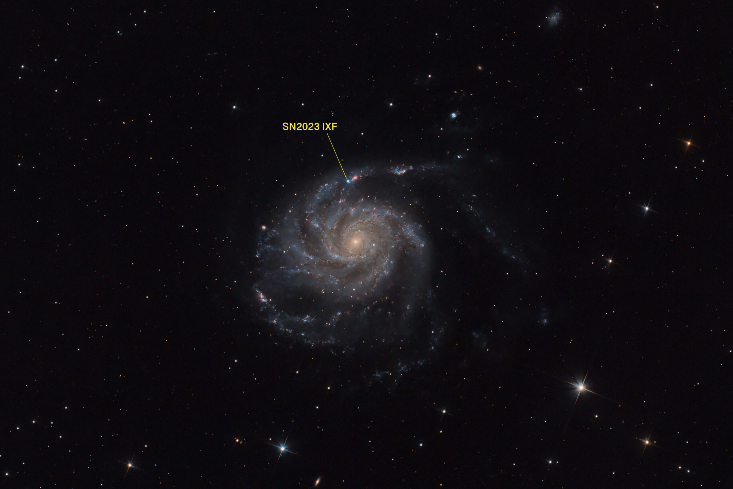 Supernova SN2023 IXF In M101 - Coelum Astronomia