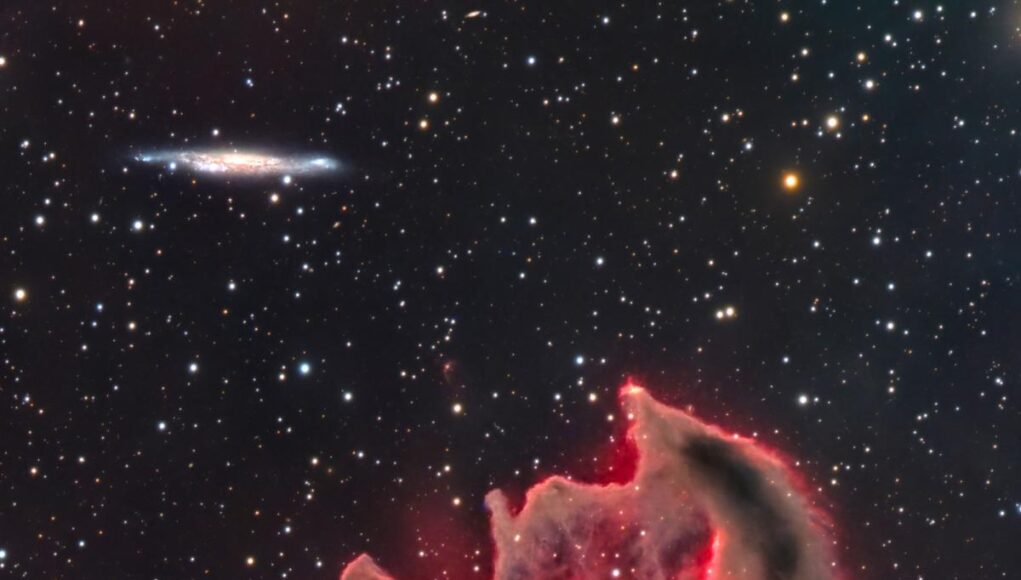 Lo ShaRA Team Vola In Finale Al Concorso Del Royal Greenwich Museum ...