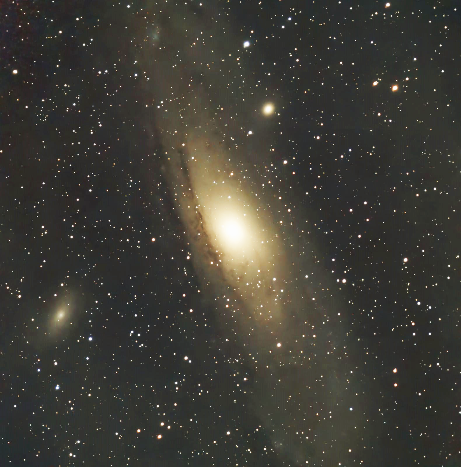 GALASSIA DI ANDROMEDA,M31 | Coelum Astronomia