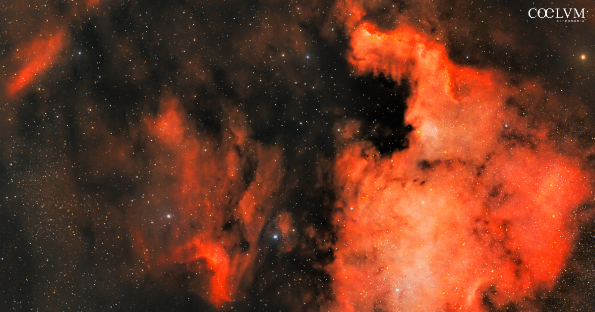 NGC 7000 – La Nebulosa Nord America Nel Cigno | Coelum Astronomia