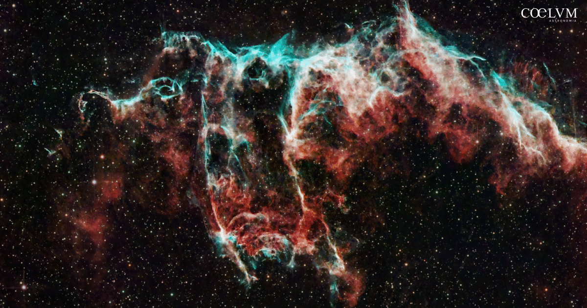 Bat Nebula | Coelum Astronomia