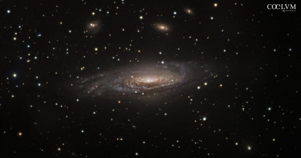 NGC7331 E Supernova Sigla SN 2025rbs | Coelum Astronomia