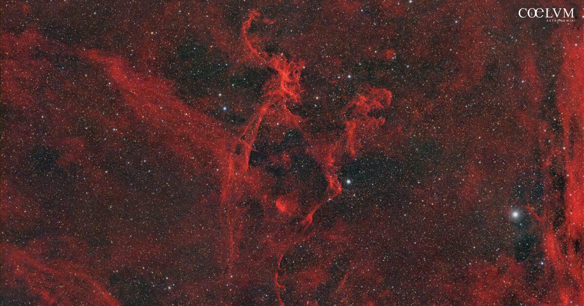 FLYING DRAGON NEBULA | Coelum Astronomia