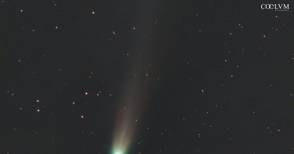 Cometa C/2025 A6 Lemmon Accanto A Cor Caroli | Coelum Astronomia