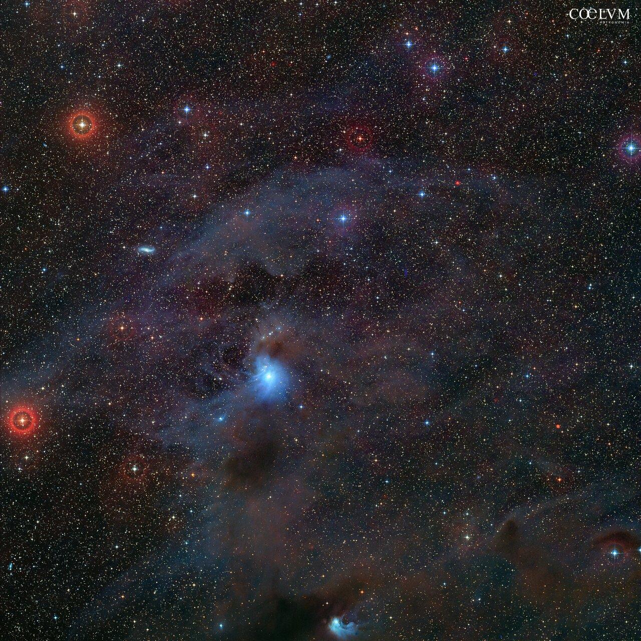Cha J1107-7626: Un Pianeta Errante Che Cresce A Un Ritmo Record | Coelum Astronomia
