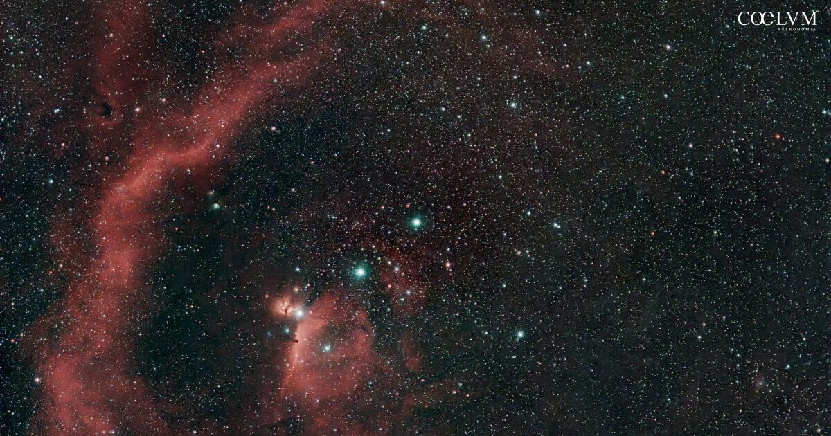 Orione, Il Grande Cacciatore | Coelum Astronomia