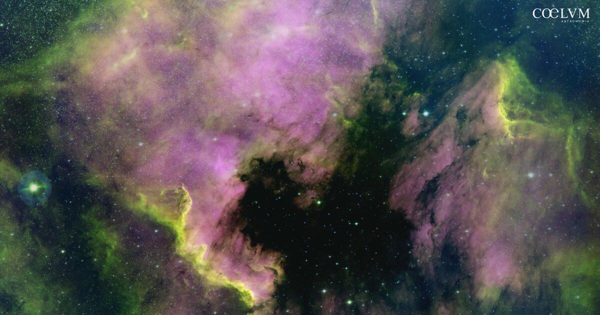 NGC 7000 e IC 5070 | Coelum Astronomia