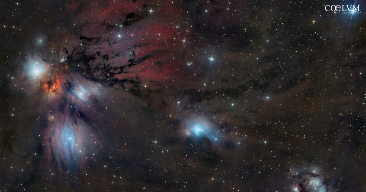 Nebulosa Angelo NGC 2170 | Coelum Astronomia