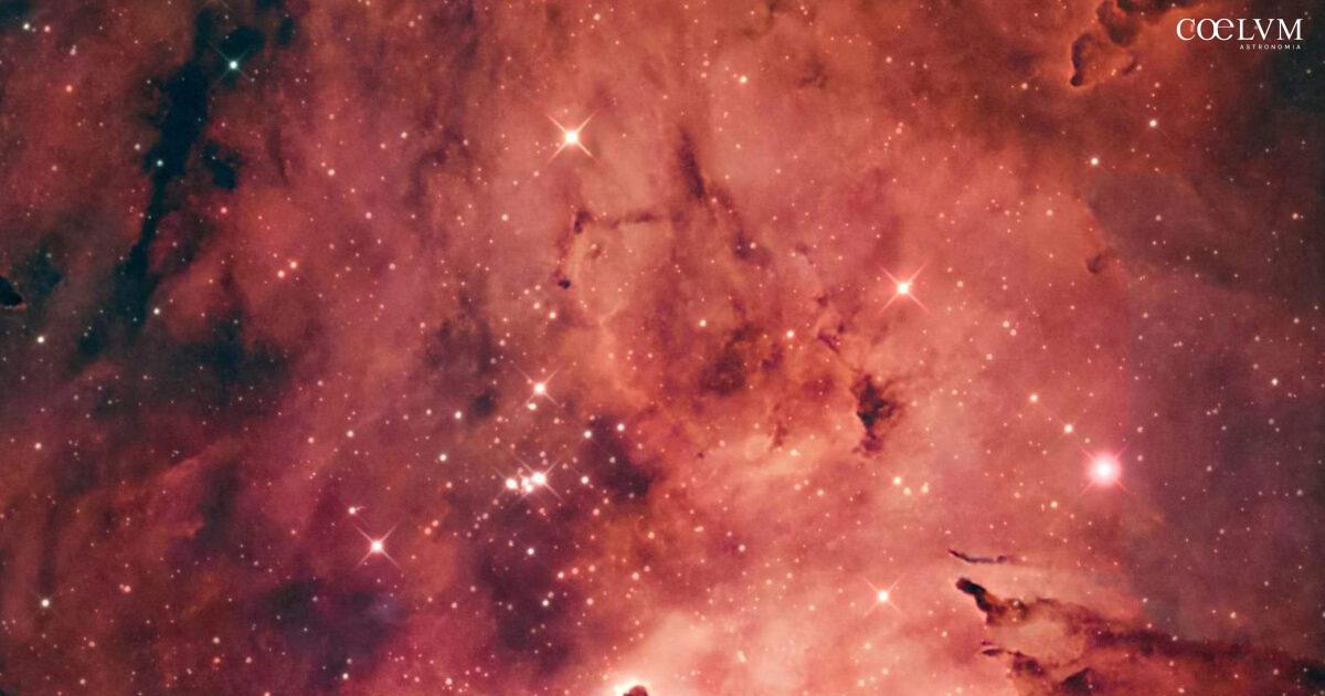 NGC6820 - NEBULOSA AD EMISSIONE | Coelum Astronomia