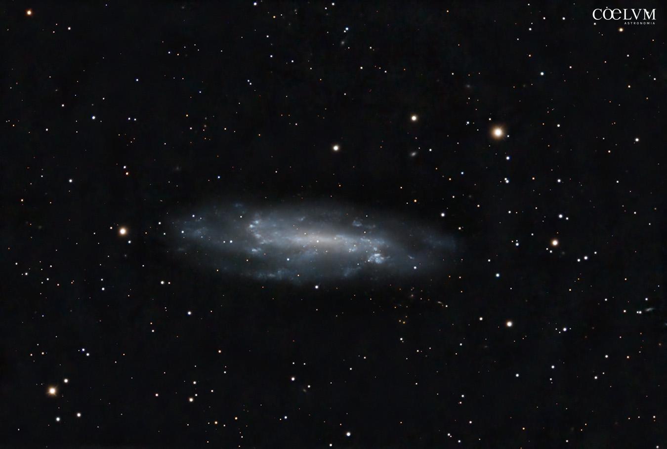 Galassia NGC 4236 | Coelum Astronomia