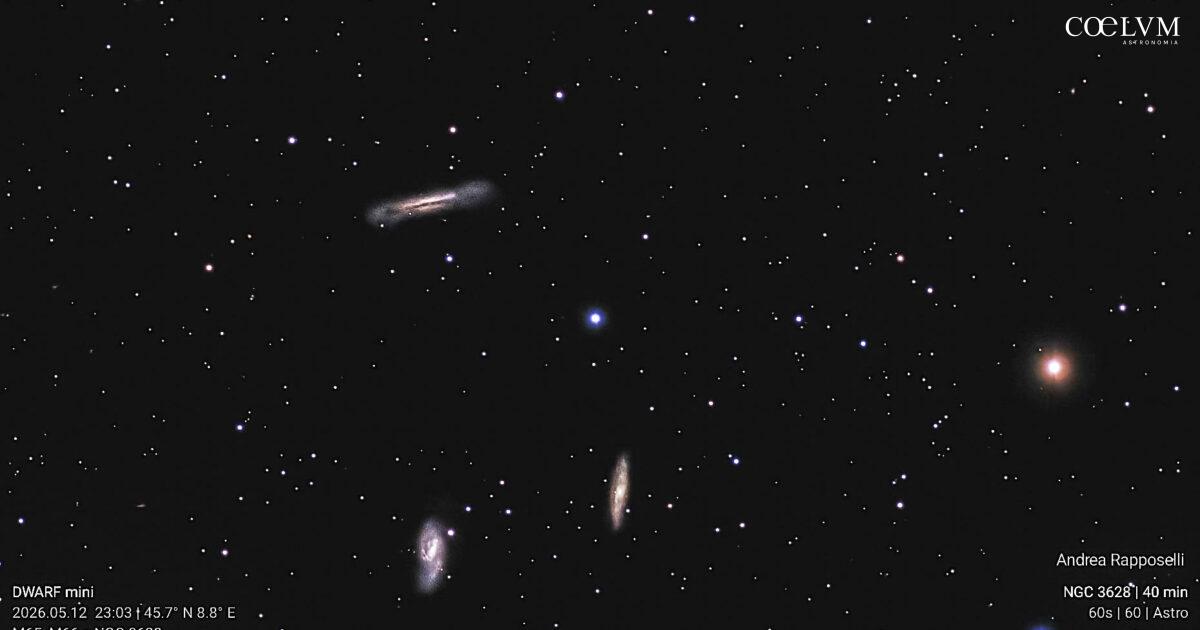 M65, M66 e NGC 3628 | Coelum Astronomia