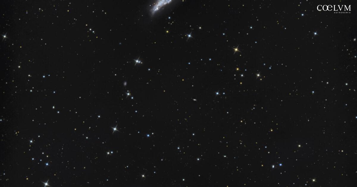 NGC 4631 Whale Galaxy & NGC 4656 Hockey Stick Galaxy | Coelum Astronomia