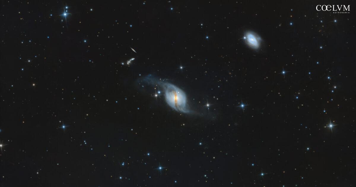 NGC 3718 | Coelum Astronomia