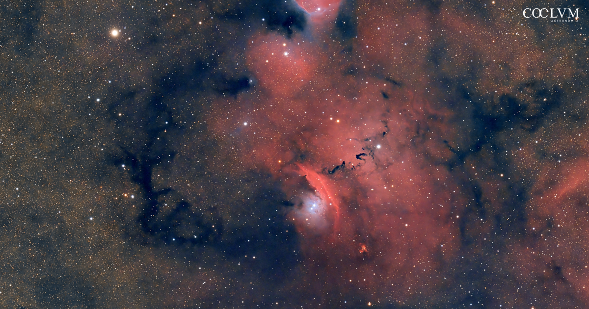 NGC 6559 | Coelum Astronomia