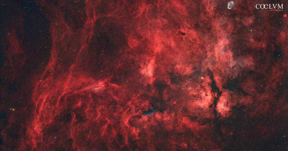 Il Regno di Sadr | Coelum Astronomia
