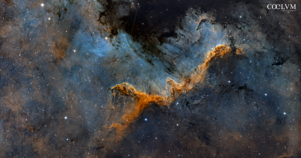 Il Muro del Cigno | Coelum Astronomia