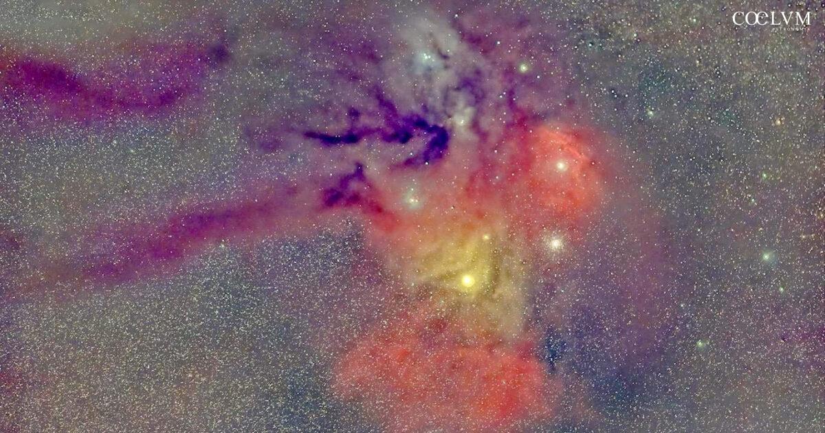 Complesso nebulare Antares – Rho Ophiuchi | Coelum Astronomia