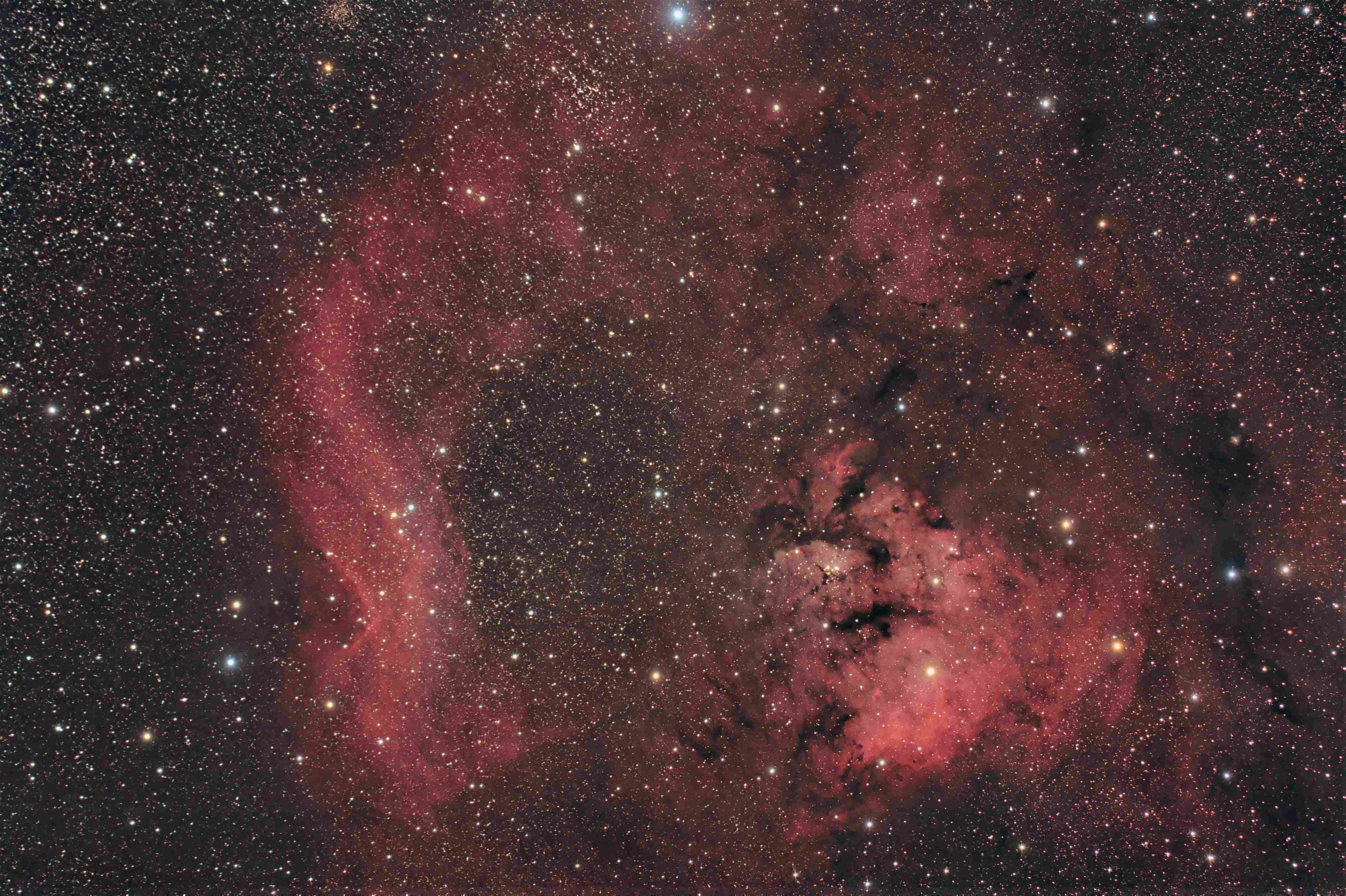 NGC 7822 - NGC 7762 - CED 214 | Coelum Astronomia