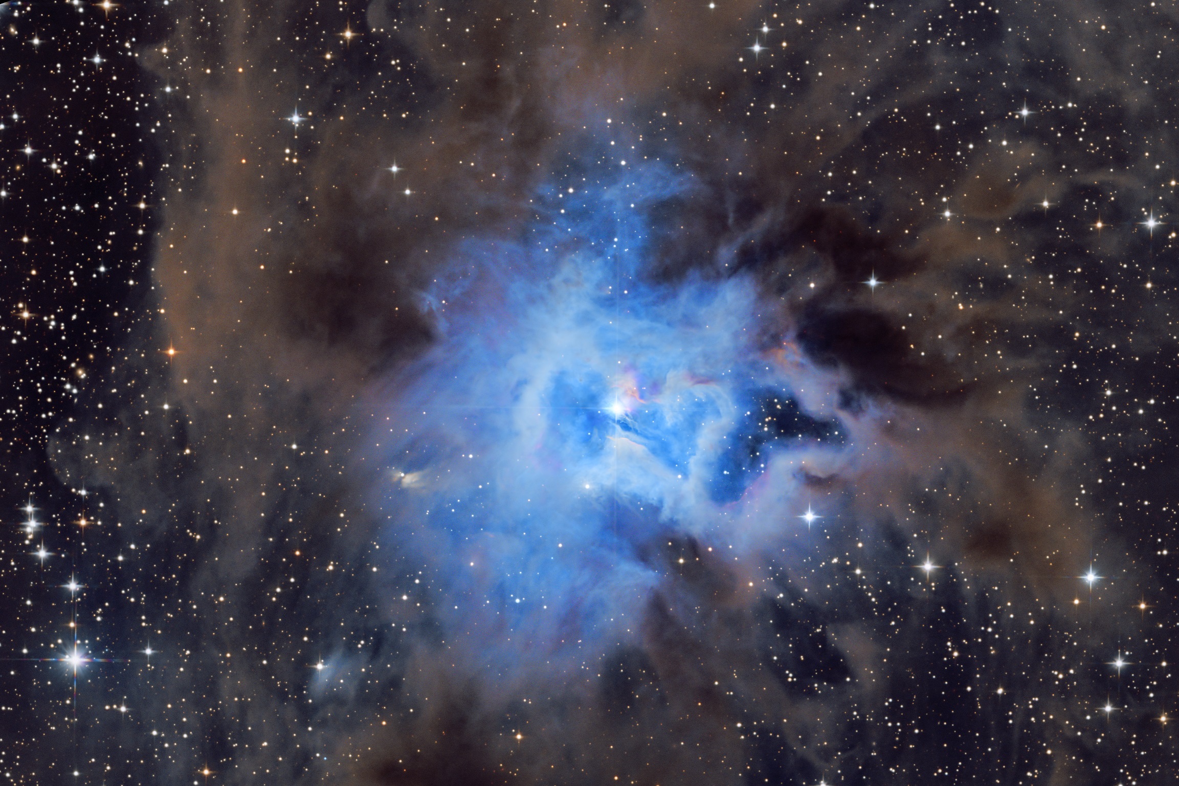 NGC 7023 - Iris Nebula | Coelum Astronomia NGC 7023 - Iris Nebula | Coelum Astronomia